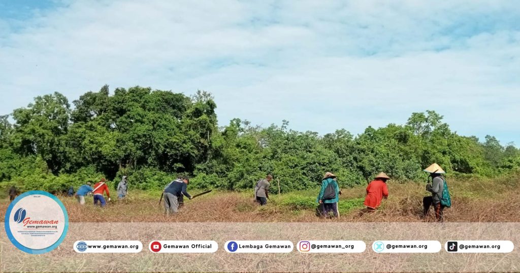 Bangun Demplot Padi, Jaga Ketahanan Pangan Di Pulau Maya | Lembaga Gemawan
