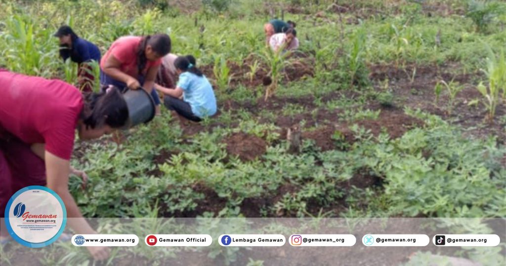 Lebang Mandiri: Women Who Plant Hope | Lembaga Gemawan
